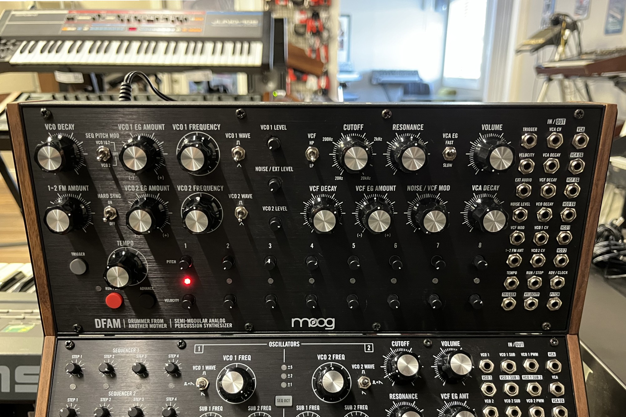 Moog DFAM - Syntaur